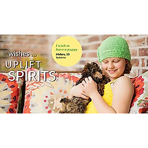 PB&J Make A Wish Southwest Llama Cactus White & Blush Reversible Throw Blanket, 50" x 60"