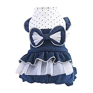 HonpraD Pet Clothes for Small Dogs Girl Dog Dresses Autumn and Winter Thickening Four Legs Princess Bow Denim Skirt