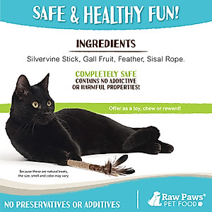 Raw Paws Silvervine Stick Toys, 3 ct - Interactive Cat Toys with Feathers, Cat Kicker Toy, Catnip Toys for Cats, Cat Feather Stick Silvervine for Cats, Matatabi Sticks Cat Feather Toys for Indoor Cats