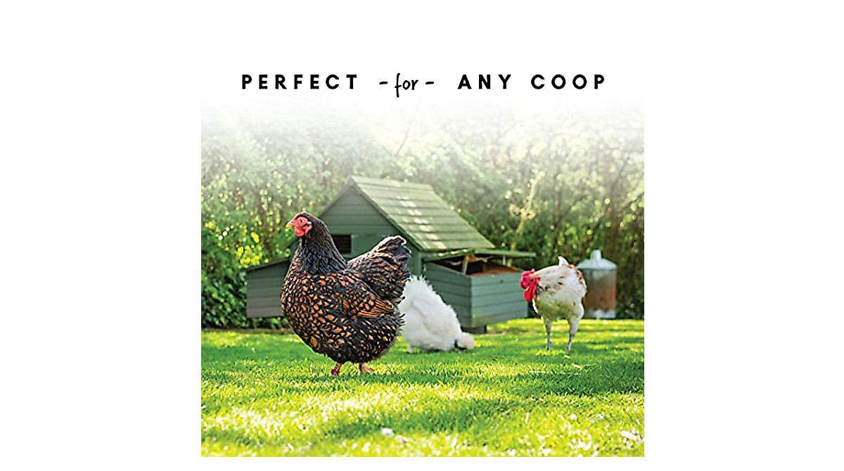 Harris Farms Hanging Poultry Feeder | Easy Clean & BPA Free