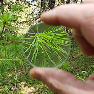 Coopers Bay Pocket Magnifying Lens in Leather Carry Pouch for Fire Making, Tracking, Plant ID, etc.