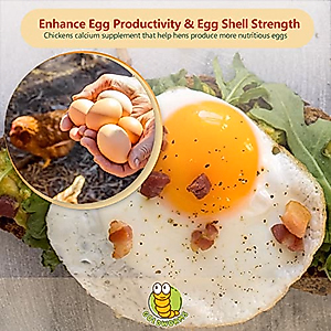 GOLDWORMS 2LBS Superior to Dried Mealworms for Chickens - Non-GMO Dried Black Soldier Fly Larvae - 85X More Calcium Than Meal Worms - BSF Larvae Treats for Wild Birds, Hens, Ducks, Reptiles