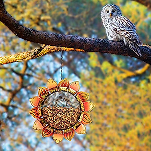 Wild Bird Feeder - Metal Bird Feeders, Sunflower Hanging Bird Feeder, Bird Seeds for Outside Wild Birds Patio & Garden Outdoor Decoration