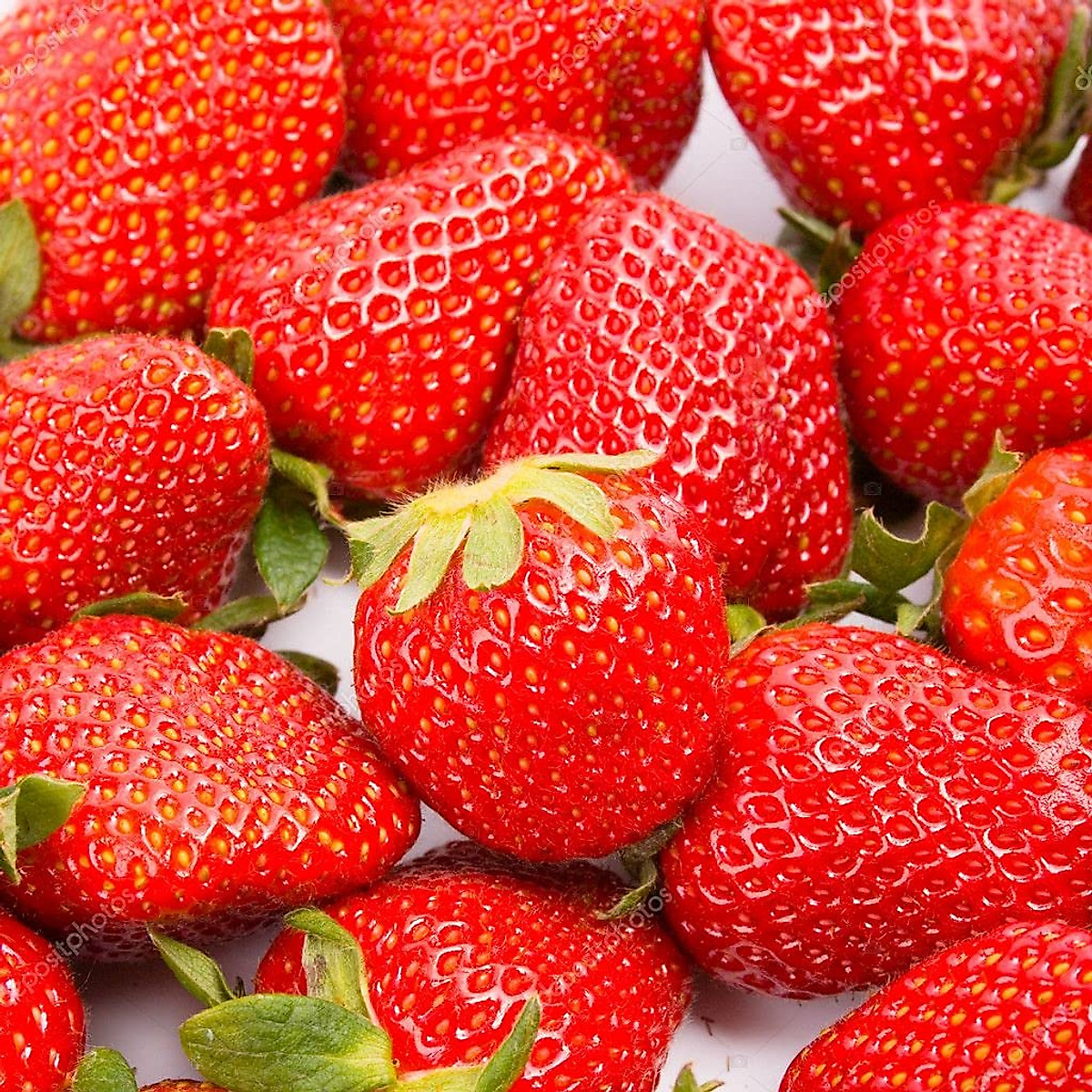 CEMEHA SEEDS - Giant Strawberry Fresca Everbearing Berries Indoor Non GMO Fruits for Planting