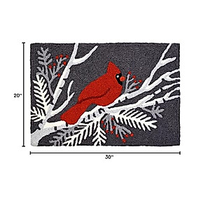 Jellybean Modern Indoor/Outdoor Mat Home Comfort Rugs 20"X 30" Rectangle Cardinal On Gray