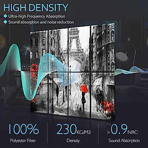 Ruonin.X 8 Pack Decorative Art Acoustic Panel .47"x 31" Sound Absorbing Panel,Acoustical Soundproof Wall Panels,Better Acoustic than foam, Suitable for Recording Studio and Home Acoustical Treatments.