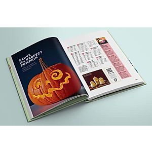 Good Housekeeping Home Skills: Master Your Domain with Practical Solutions to Everyday Challenges