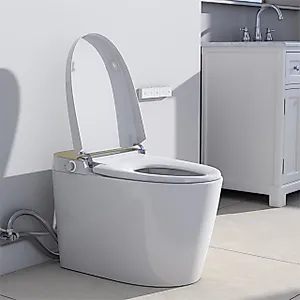 Luxury One Piece Smart Toilet with Bidet Built in Heated Seat Automatic Flush Warm Water Sprayer and Dryer White Modern Contemporary Transitional Ceramic Metal