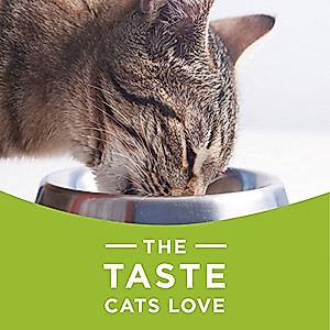 Purina Cat Chow Hairball, Healthy Weight, Indoor Dry Cat Food, Indoor - 16 lb. Bag