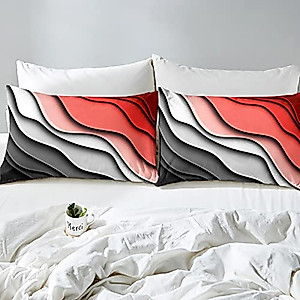 Erosebridal Coastline Beach Bed Set Sea Duvet Cover, Abstract Art Bedding Set Full Gray Black Red Ombre Comforter Cover, Modern Aesthetic Bed Cover with Zipper Closure Summer Beach Farmhouse Decor