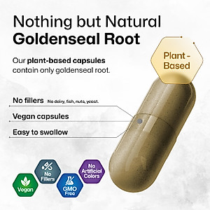 BIO KRAUTER Goldenseal Root Supplement - Goldenseal Capsules 700 mg - Traditional Herbal Supplement - 100 Vegan Capsules