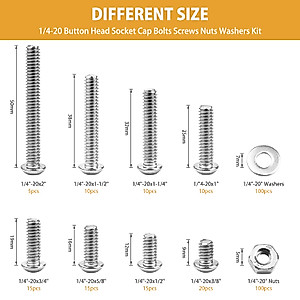 1/4-20 Hex Button Head Cap Screw, VIGRUE 300pcs 304 Stainless Steel UNC Hexagon Bolts Flat Washers Nuts Assortment Kit Machine Screws Set, 8 Sizes (Length from 3/8" to 2")