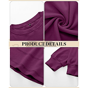 Riyiper 2 Pack Women's Crew Neck Sweatshirts, Long Sleeve Casual Shirts Loose Fit Cotton Tunic Tops Basic Soft Cute Pullover(Large,Dark Blue, Fuchsia)