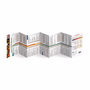 Chronology of Israel's Kings and Prophets: Events In Samuel, Kings & Chronicles