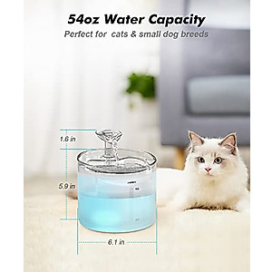 NPET WF100 Cat Water Fountain, 54oz/1.6L Automatic Pet Fountain Cat Water Dispenser with 2 Flow Modes, Light Quiet Pump for Cats (Adapter Not Included)