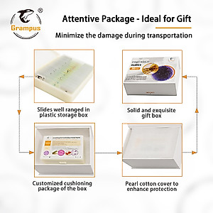 30 Prepared Microscope Slides with Specimens for Kids Students - Insects, for Biological Science Lab, Children's Science Education, Homeschooling Use