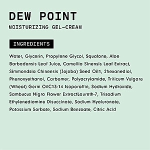 Versed Dew Point Gel Moisturizer For Face - Antioxidant-Rich Gel Cream with Green Tea Extract + Aloe Leaf Juice - Fast Absorbing, Non-Greasy Hybrid Facial Cream for Dry Skin, Vegan (2 fl oz)