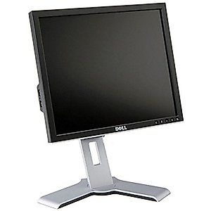 Dell 1908FP 19" flat panel monitor - 1908FPF