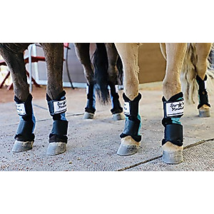 Star Point Mini-Pony Fly Boots (Teal Set of 4)