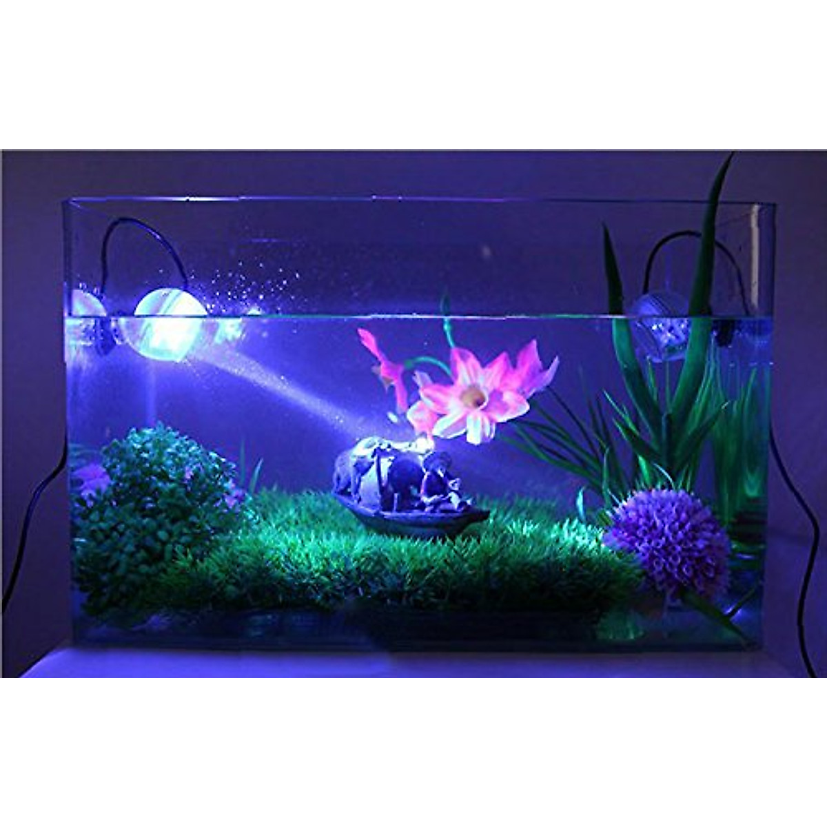 Supyouleg LED Aquarium Light Fixtures Small Gallon Submersible Planted Fish Tank Lights for Saltwater and Freshwater Aquariums