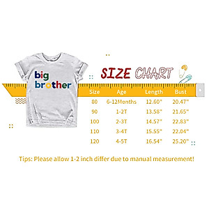 Big Brother Shirt Toddler Baby Boys Promoted to Big Brother Announcement T-Shirt Big Bro Short Sleeve Cotton Tee White Grey