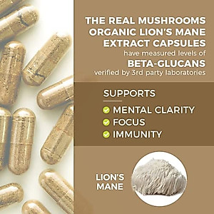 Real Mushrooms Lions Mane for Humans (300ct) and Pets (120ct) - Bundle for Cognition & Immunity - Vegan, Non-GMO, Gluten-Free, Grain-Free Mushroom Extract Supplements