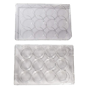 ADVANGENE 12 Well Treated Sterile Flat Tissue Culture Plate (50/Case)
