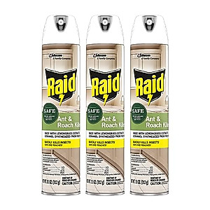 Raid Ant and Roach Killer 11 Ounce (Pack of 3)