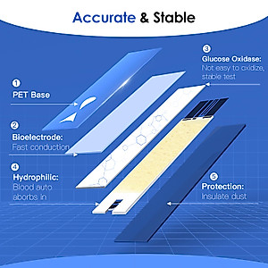 Glucoracy 300 Counts Blood Glucose Test Strips, Only Works with Glucoracy G-425-2 Blood Sugar Monitor, Self Diabetes Blood Glucose Home Monitoring, 6 Vials 50 Pieces Per Vial
