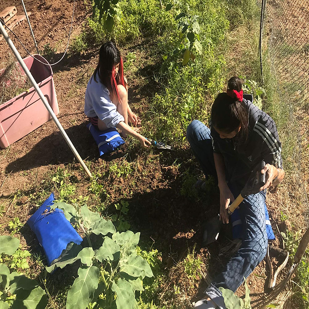 PILLOW GANIC Kneeling Pad, Superior Comfort Compared to Foam Pads. Made in USA, Weatherproof Natural Hull Filling Yard Work Gardening Shop Yoga Exercise Praying Bath Kneeler