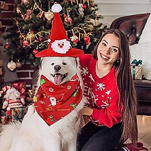 Dog Cat Christmas Costumes Set, Dog Bandana Christmas Tree Santa Hat Xmas Dog Scarf Hat Triangle Bib Clothes Party Cosplay Accessory for Small Medium Large Dog Cat (Santa Claus)