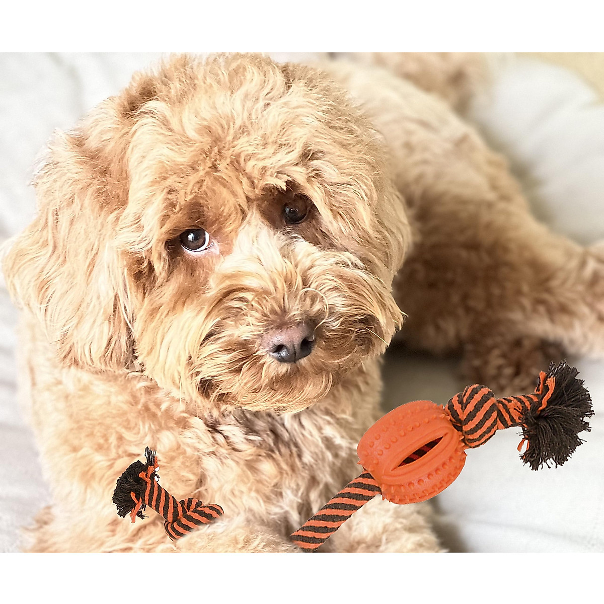 ALLUM Interactive Dog Toy Bundle – Durable Dog Chew Toys for Puppies, Medium & Large Breeds, Tug of War Dog Toys, Teething Toys for Puppies – Enrichment Dog Toys for Aggressive Chewers