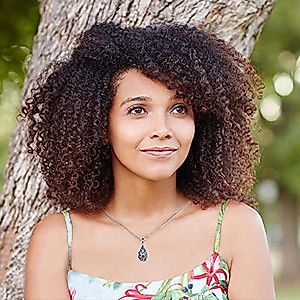 POPLYKE Sterling Silver Hummingbird Necklace Teardrop Necklace Abalone Jewelry Hummingbird Gifts for Women Birthday