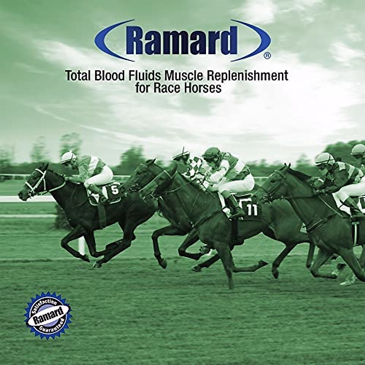 Ramard Blood Fluids Muscle Replenishment for Race Horses - Horse Supplements with Electrolytes, Blood Builder, & Muscle Builder, Powder Supplements for Horse Games High Performance, 2.3 lbs Jar