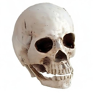 KABAKE Resin Medical Life Size Replica Realistic Human Skull Head Bone Model, Anatomy White Resin Skull High Precision Teaching Tool Halloween Decor
