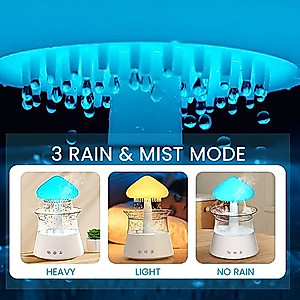 Diffuserlove Rain Cloud Humidifier Diffuser Water Drip Humidifier with Remote Waterfall Lamp Mushroom Humidifier Rain Sounds White Noise Humidifier Air Humidifiers for Bedroom Desk…