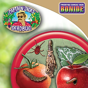 Bonide Captain Jack's Deadbug Brew, 16 oz Concentrate Outdoor Insecticide and Mite Killer for Organic Gardening
