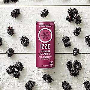 IZZE Blackberry Juice, No Sugar Added, 8.4 oz., 24/Carton