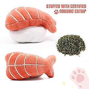 CiyvoLyeen 6 Pack Sushi Cat Toys with Catnip Sushi Roll Pillow Kitten Chew Bite Supplies Boredom Relief Fluffy Kitty Teeth Cleaning Chewing Cat Lovers Interactive Plush Gift