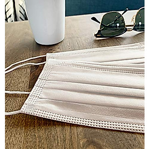 WMS Wisconsin Medical Supplies, 3-Layer Face Masks, MADE IN USA, 1 Pack (50 Masks)