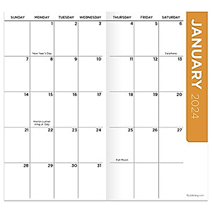 TF Publishing, Bright Blooms 2yr 2024 Pocket Planner