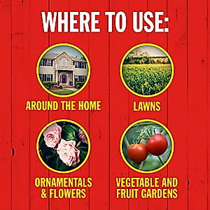 Sevin 100545891 Insect Killer Dust, 1 LB, 4-Pack, 1lb, None