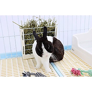 RUBYHOME Hay Feeder for Rabbits, Guinea Pigs, and Chinchillas - Minimize Waste and Mess with 9 1/4" x 3 3/4" x 8" Hanging Alfalfa and Timothy Hay Dispenser (White)