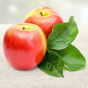 Orchard Favorites Fruit Basket Gift, 10 Piece Set