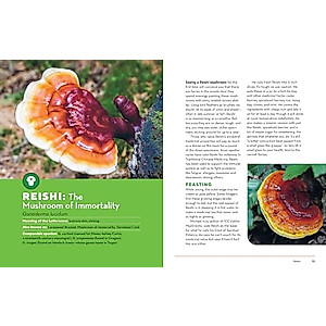 How to Forage for Mushrooms without Dying: An Absolute Beginner's Guide to Identifying 29 Wild, Edible Mushrooms