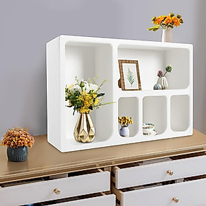 biniliubi Wall Mounted Storage Cabinet, Modern Wall Shelves, Modern Wall Shelves for Wall Decor, Floating Shelves, Wall Mounted Storage Organizer for Bathroom, Living Room, Bedroom