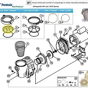 Swimables Pump Lid and Lid Oring Compatible with Whisperflo & Intelliflo 357151-3X Durable Pro Grade Pump Lid Compatible with Pentair Whisperflo/Intelliflo Pump - USA Made - Oring Included