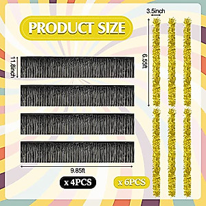 10 Pcs Graduation Parade Float Decorations, Include Foil Fringe Garland Set of 4 and Metallic Twist Garland Set of 6, Car Decorations for Congrats Grad (Black and Gold)