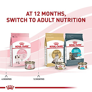 Bundle of Royal Canin Feline Health Nutrition Kitten Thin Slices in Gravy Canned Cat Food, 3 Oz Can, Pack of 24 + Royal Canin Feline Health Nutrition Kitten Canned Cat Food 24 Count (Pack of 1)