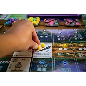 Stonemaier Games: Wingspan Oceania Expansion | Add to Wingspan (Base Game) | includes New Player Mats, Food, and Egg Color | 95 Unique New Birds | Cooperative Mode | 1-5 Players, 70 Mins, Ages 14+
